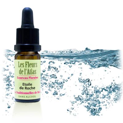 Fleurs de l'Atlas Eau de roche - rock water - Pierre d'Astier